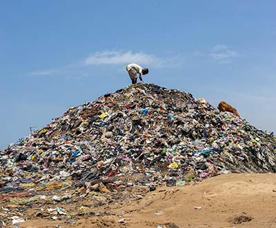 Home | Institute Of Biodiversity And Up-scaling Technologies