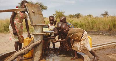 Home | Institute Of Biodiversity And Up-scaling Technologies